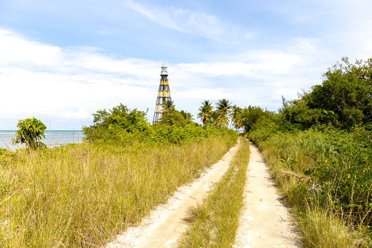 Jutía Bilder – Durchsuchen 200 Archivfotos, Vektorgrafiken und Videos ...