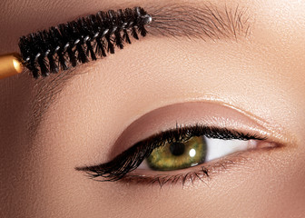 Natural Eyelashes photos, royalty-free images, graphics, vectors ...