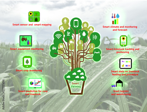 "Internet of things(agriculture concept),smart farming, smart ...