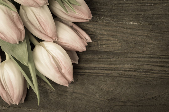 Sympathy Images – Browse 55,946 Stock Photos, Vectors, and Video ...