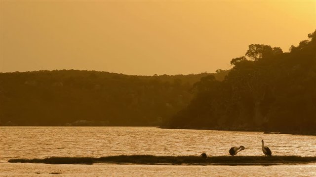 รูปภาพGuilderton – เลือกดูภาพถ่ายสต็อก เวกเตอร์ และวิดีโอ87 | Adobe Stock