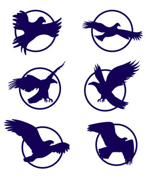 Mockingjay Silhouette
