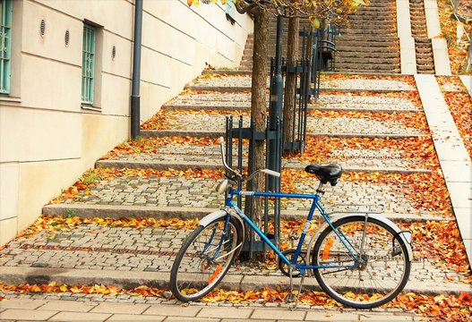 Cykel Bilder – Durchsuchen 62 Archivfotos, Vektorgrafiken und Videos ...