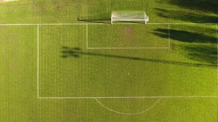 Cerca immagini: pece