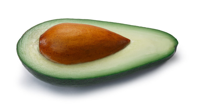 「Abocate」の写真素材 | 7件の無料イラスト画像 | Adobe Stock