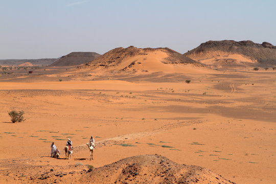 Camelry Images – Browse 61 Stock Photos, Vectors, and Video | Adobe Stock