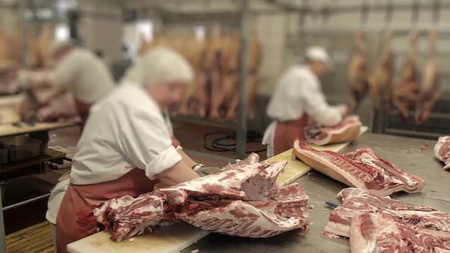 รูปภาพSlaughterhouse – เลือกดูภาพถ่ายสต็อก เวกเตอร์ และวิดีโอ152,765 ...