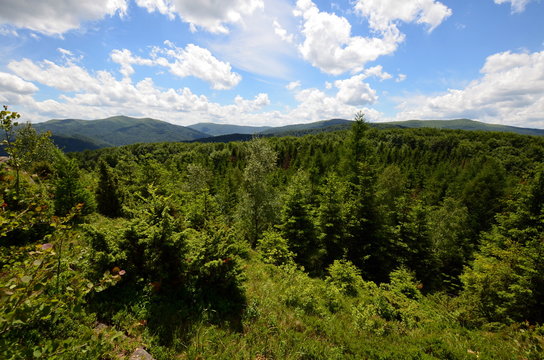 รูปภาพPuszcza – เลือกดูภาพถ่ายสต็อก เวกเตอร์ และวิดีโอ3,609 | Adobe Stock