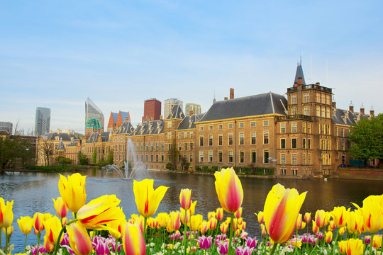 รูปภาพHaag – เลือกดูภาพถ่ายสต็อก เวกเตอร์ และวิดีโอ6,102 | Adobe Stock