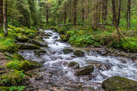Flussbett Bilder – Durchsuchen 139,921 Archivfotos, Vektorgrafiken und ...
