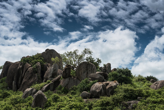 Harish photos, images, assets | Adobe Stock