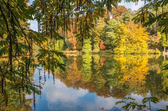 Hulp Bilder – Durchsuchen 239 Archivfotos, Vektorgrafiken und Videos ...