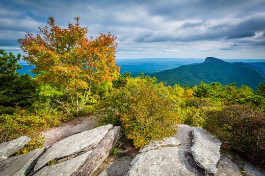 Overlook Images – Browse 504,055 Stock Photos, Vectors, and Video ...