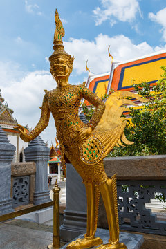 「Kinnon」の写真素材 | 19件の無料イラスト画像 | Adobe Stock