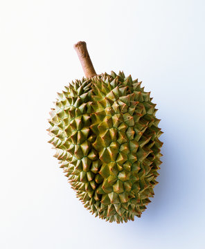 รูปภาพStinkfrucht – เลือกดูภาพถ่ายสต็อก เวกเตอร์ และวิดีโอ119 | Adobe Stock