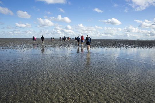 Waddenzee bilder – Bläddra bland 40,331 stockfoton, vektorer och videor ...