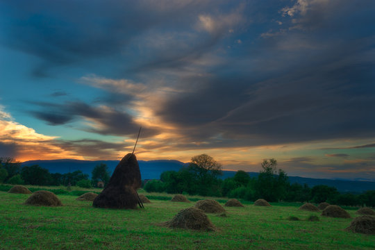 Breb Images – Browse 149 Stock Photos, Vectors, and Video | Adobe Stock