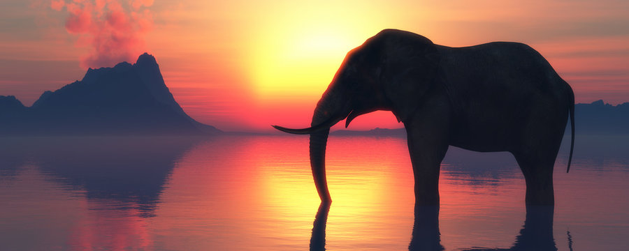 India Elephant Images – Browse 101,458 Stock Photos, Vectors, and Video ...