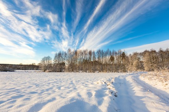 Sleet Images – Browse 24,345 Stock Photos, Vectors, and Video | Adobe Stock