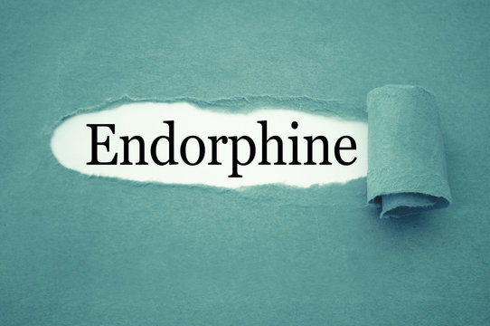 「Endorphine」の写真素材 | 643件の無料イラスト画像 | Adobe Stock