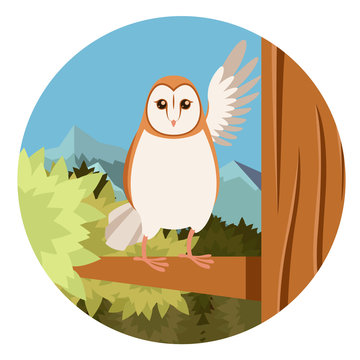 Church-Owl Images – Browse 41 Stock Photos, Vectors, and Video | Adobe ...