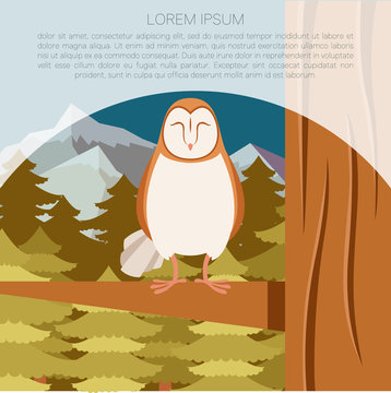 Church-Owl Images – Browse 41 Stock Photos, Vectors, and Video | Adobe ...