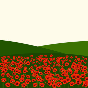"Poppy Field" Images – Browse 44,556 Stock Photos, Vectors, and Video ...