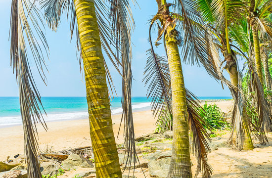 รูปภาพLaccadive – เลือกดูภาพถ่ายสต็อก เวกเตอร์ และวิดีโอ854 | Adobe Stock