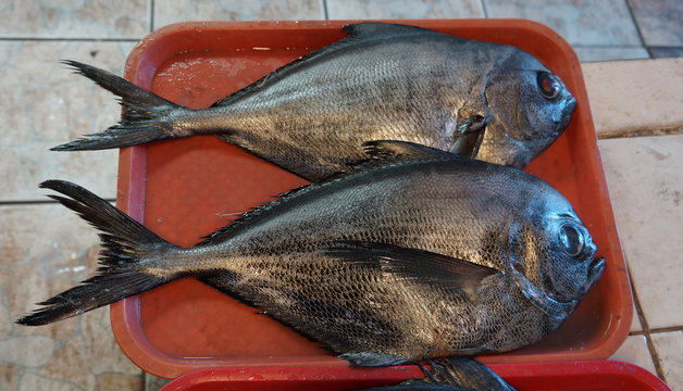 Reineta Bilder – Durchsuchen 197 Archivfotos, Vektorgrafiken und Videos ...