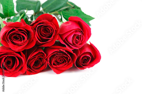 "red roses laying on white background" Stock photo and royalty-free ...
