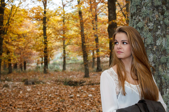 Rubios Bilder – Durchsuchen 509 Archivfotos, Vektorgrafiken und Videos ...