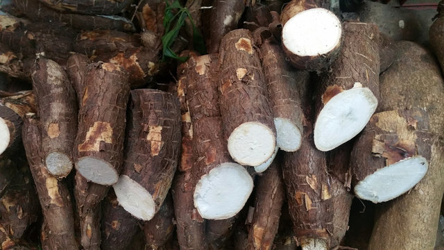 「Maracheeni」の写真素材 | 49件の無料イラスト画像 | Adobe Stock