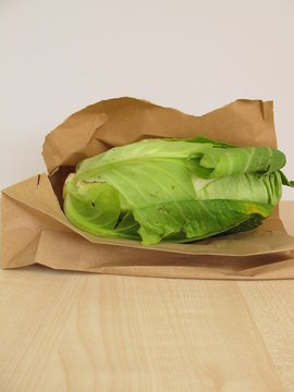 รูปภาพSpitzkraut – เลือกดูภาพถ่ายสต็อก เวกเตอร์ และวิดีโอ177 | Adobe Stock