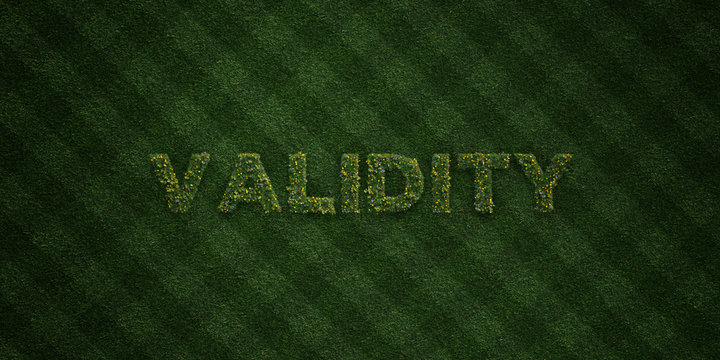 รูปภาพValidity – เลือกดูภาพถ่ายสต็อก เวกเตอร์ และวิดีโอ8,867 | Adobe Stock