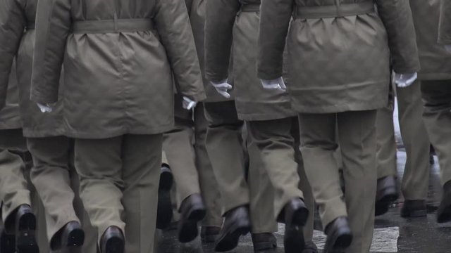 Uniformity Images – Browse 6,282 Stock Photos, Vectors, and Video ...