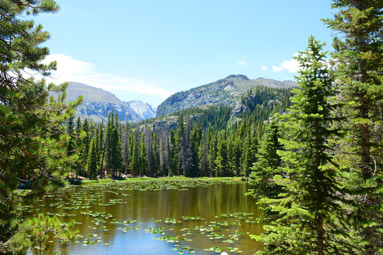 "Nymph Lake" Bilder – Durchsuchen 204 Archivfotos, Vektorgrafiken und ...