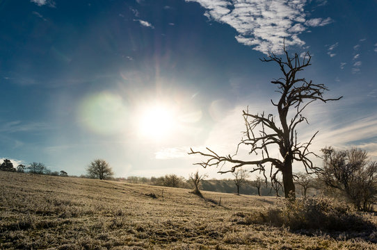 Äsen Bilder – Durchsuchen 46,953 Archivfotos, Vektorgrafiken und Videos ...