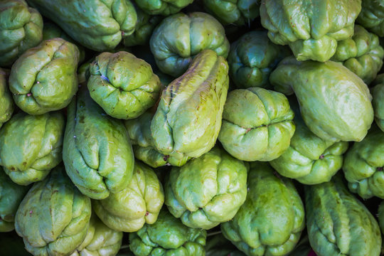 Iskus Bilder – Durchsuchen 6,546 Archivfotos, Vektorgrafiken und Videos ...