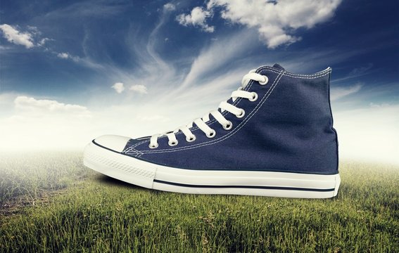 Imágenes de Plimsole: descubre bancos de fotos, ilustraciones, vectores ...