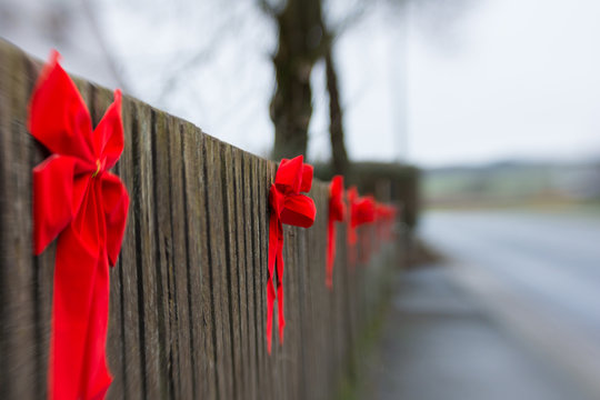 รูปภาพKnallrot – เลือกดูภาพถ่ายสต็อก เวกเตอร์ และวิดีโอ1,940 | Adobe Stock