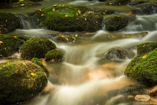 Ohe Bilder – Durchsuchen 525 Archivfotos, Vektorgrafiken und Videos ...