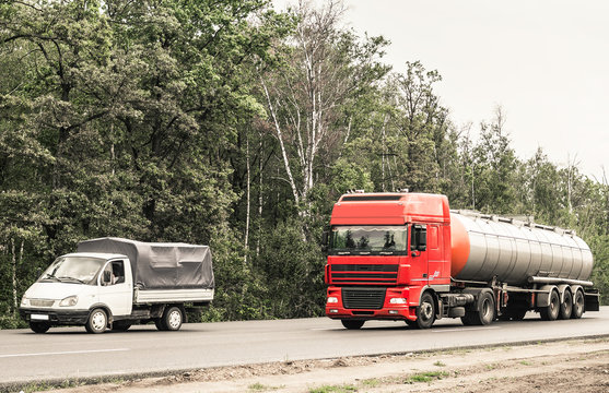 Gazel Images – Browse 159 Stock Photos, Vectors, and Video | Adobe Stock