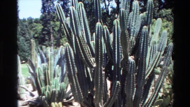 รูปภาพNachural – เลือกดูภาพถ่ายสต็อก เวกเตอร์ และวิดีโอ15 | Adobe Stock