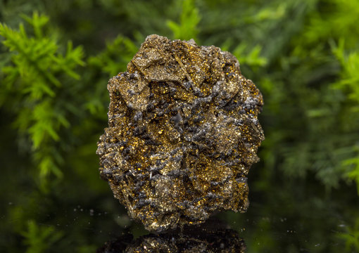 「Pirit」の写真素材 | 145件の無料イラスト画像 | Adobe Stock