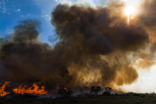รูปภาพSmoke – เลือกดูภาพถ่ายสต็อก เวกเตอร์ และวิดีโอ3,785,774 | Adobe Stock