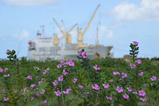 "Reefer Ship" Images – Browse 139 Stock Photos, Vectors, and Video ...