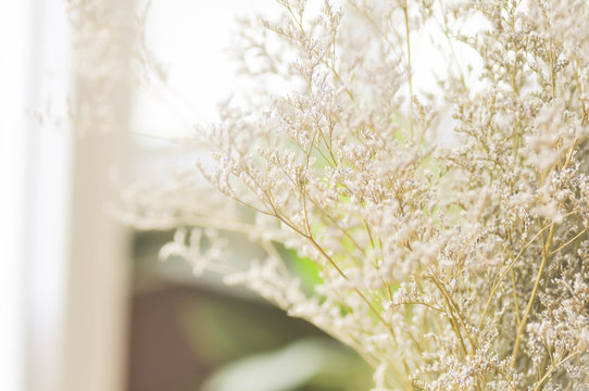 รูปภาพGypso – เลือกดูภาพถ่ายสต็อก เวกเตอร์ และวิดีโอ279 | Adobe Stock