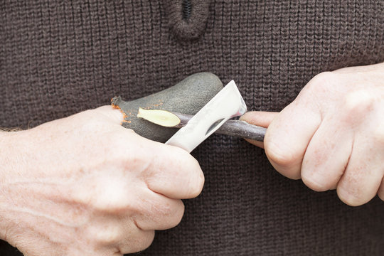 Kopulation Images – Browse 2 Stock Photos, Vectors, and Video | Adobe Stock