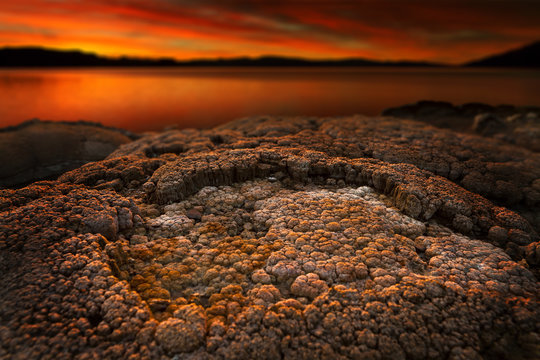 รูปภาพPorosity – เลือกดูภาพถ่ายสต็อก เวกเตอร์ และวิดีโอ4,778 | Adobe Stock