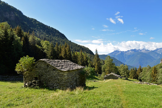 รูปภาพBaita – เลือกดูภาพถ่ายสต็อก เวกเตอร์ และวิดีโอ6,038 | Adobe Stock